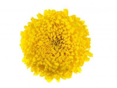 Super Mum – Golden Flowers